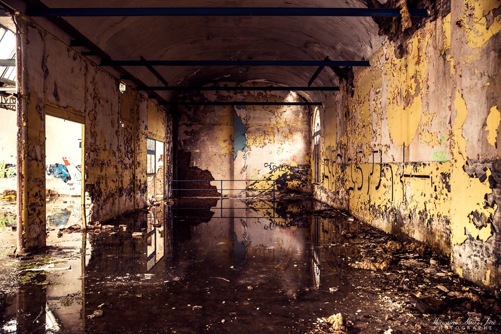 Usine abandonnée