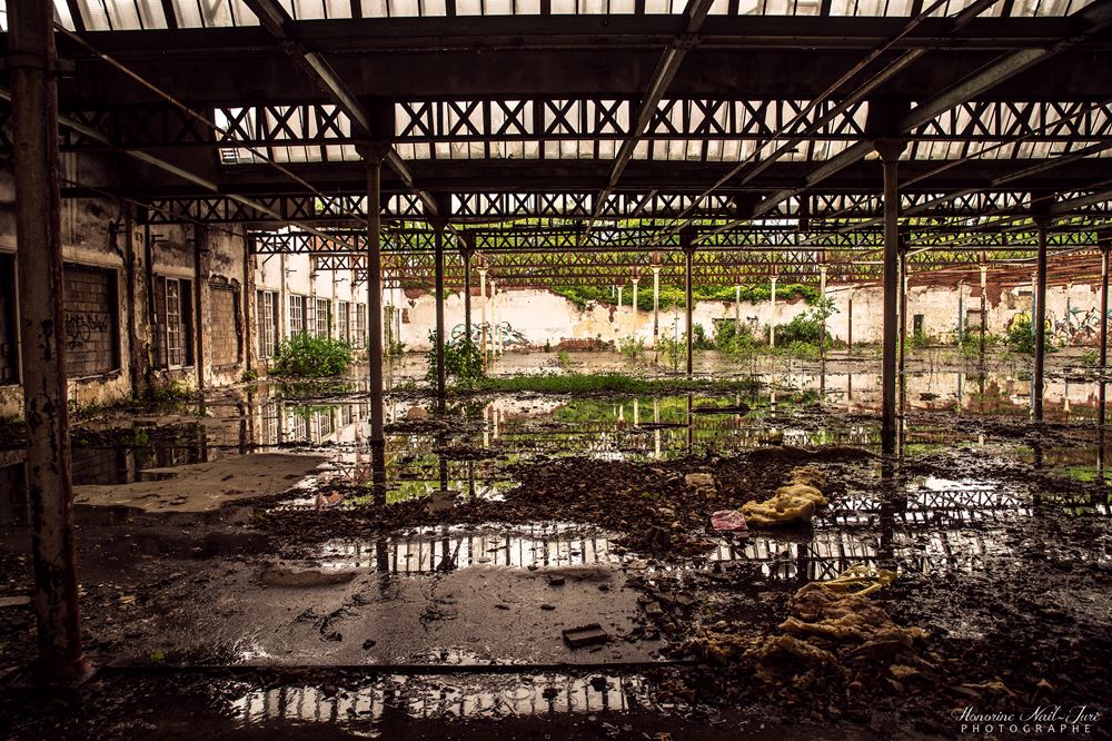 Usine abandonnée